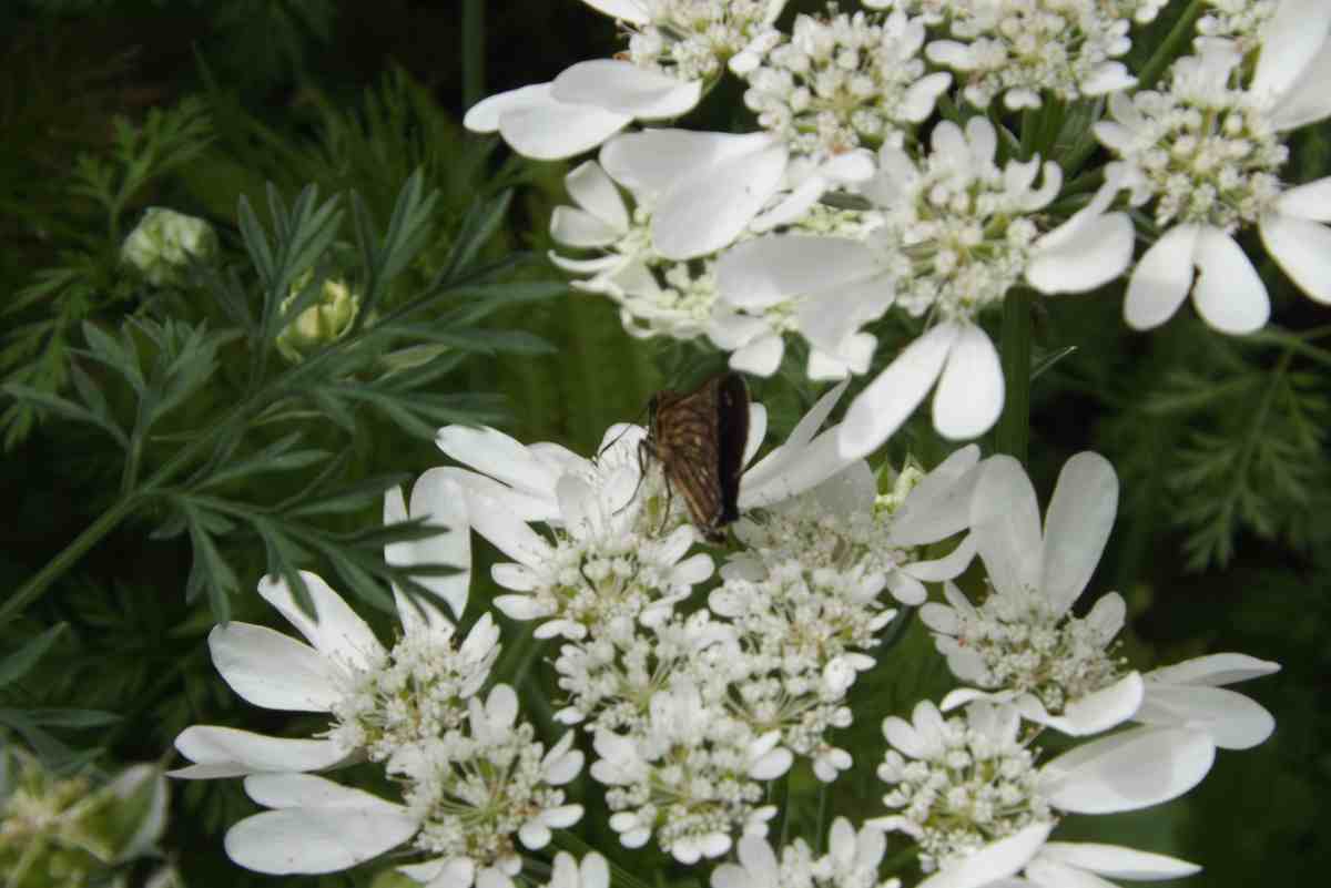 詳細検索：環境省