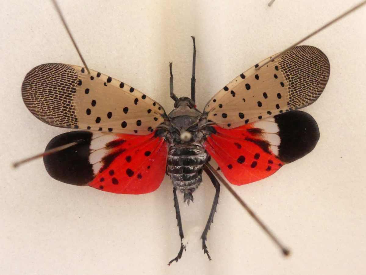 詳細検索：環境省