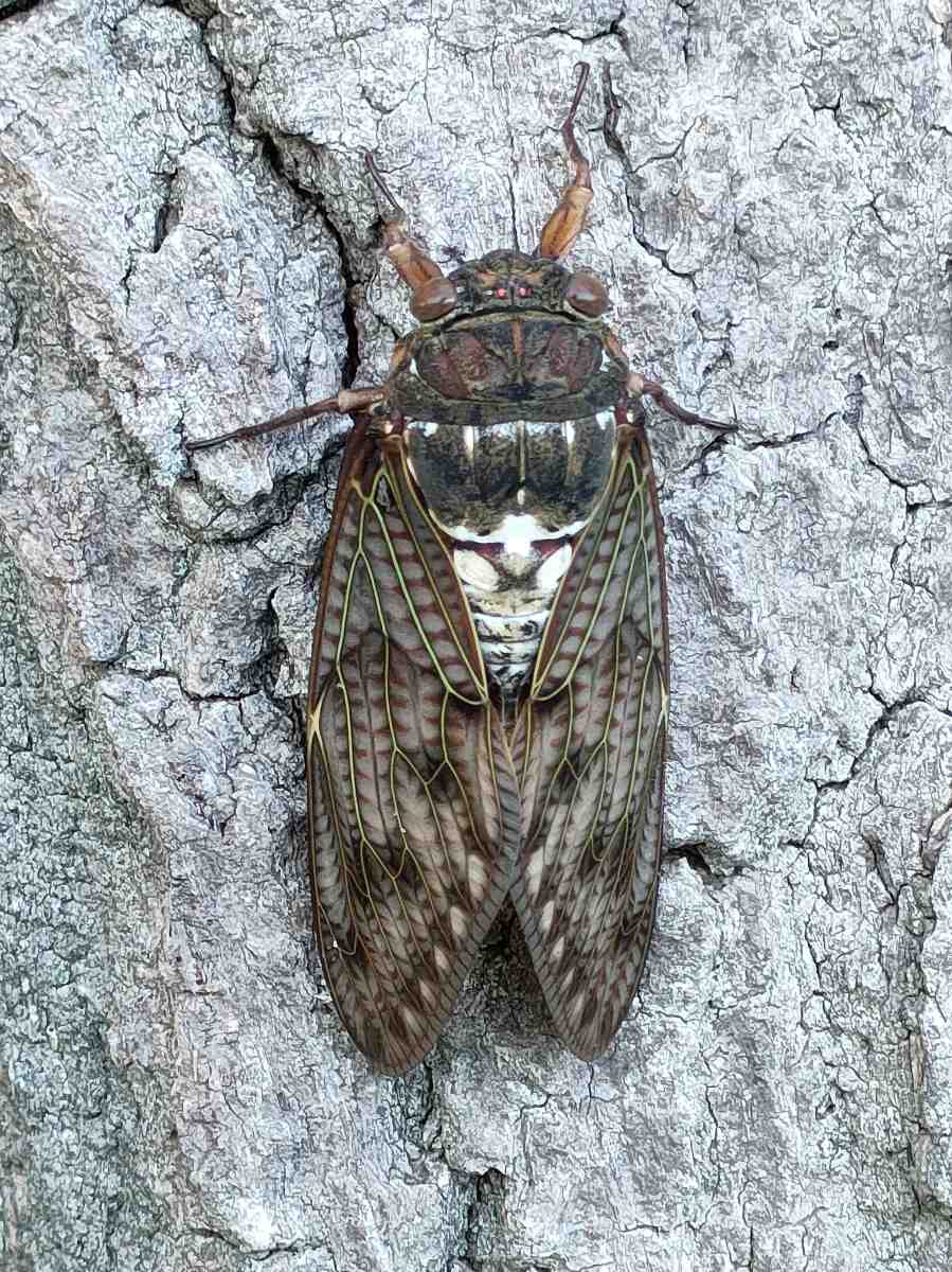 詳細検索：環境省