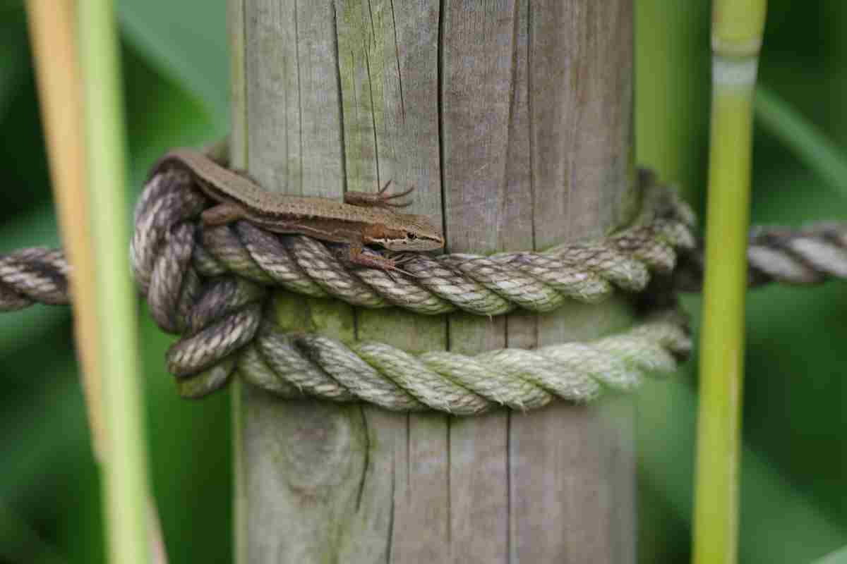 詳細検索：環境省