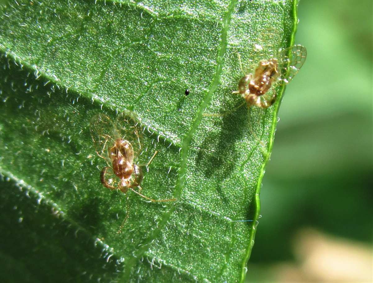 詳細検索：環境省