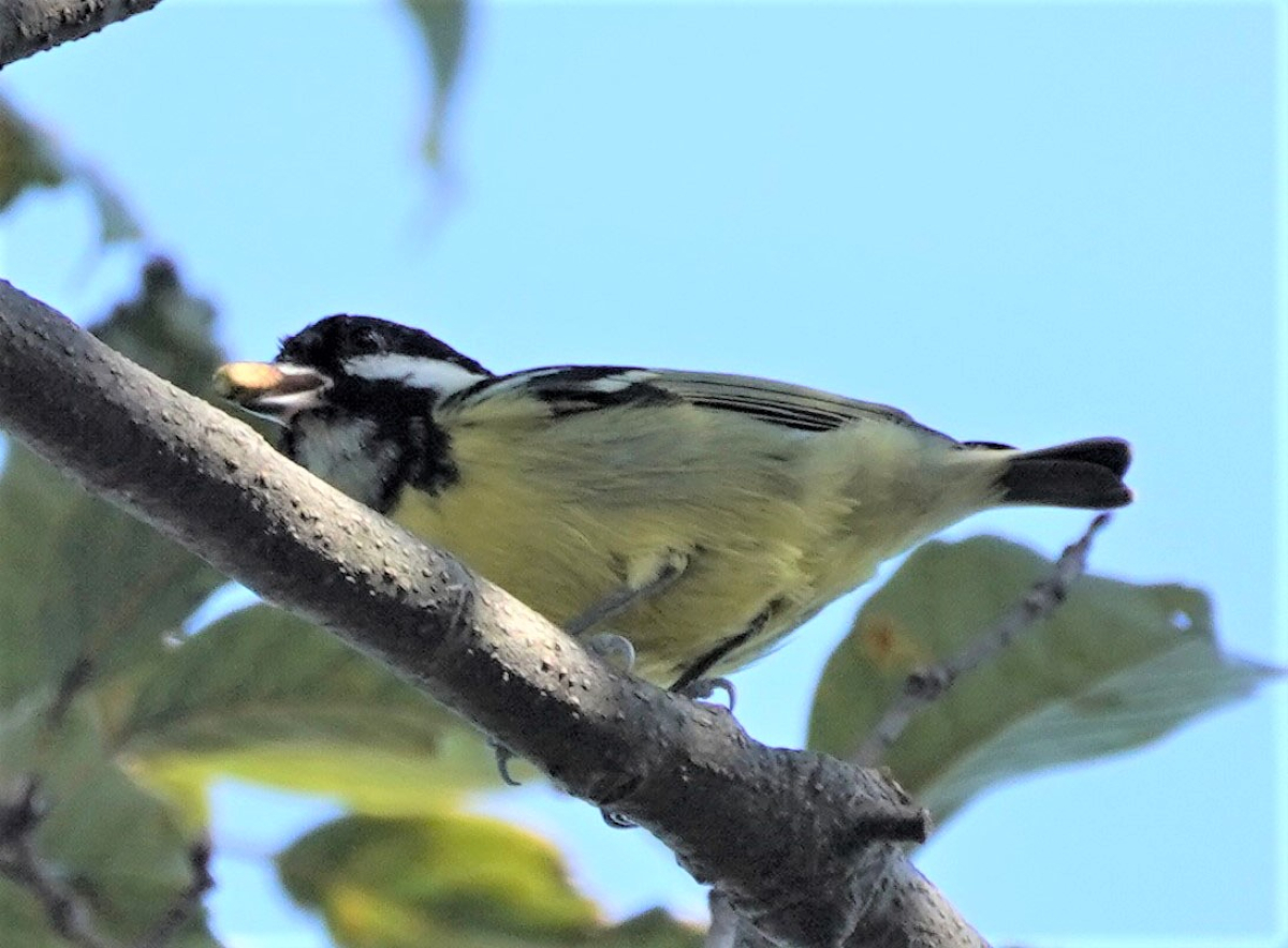 詳細検索：環境省