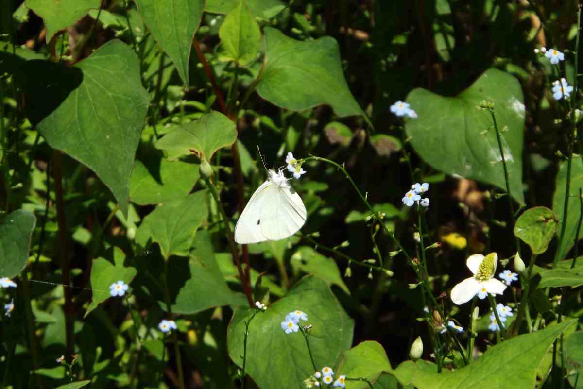 詳細検索：環境省