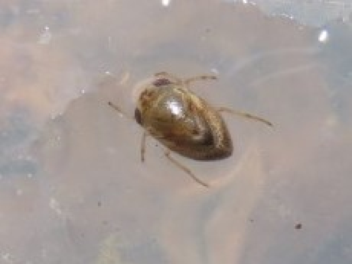 詳細検索：環境省