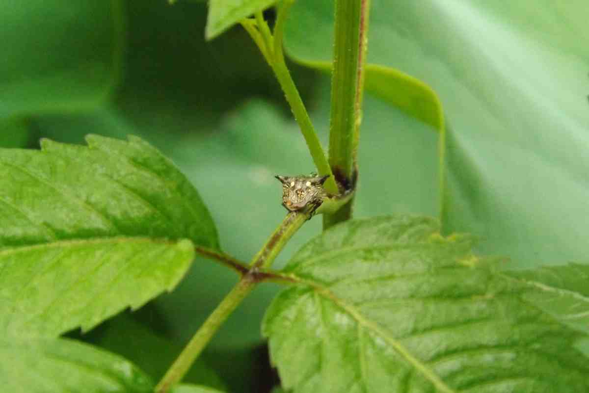 詳細検索：環境省