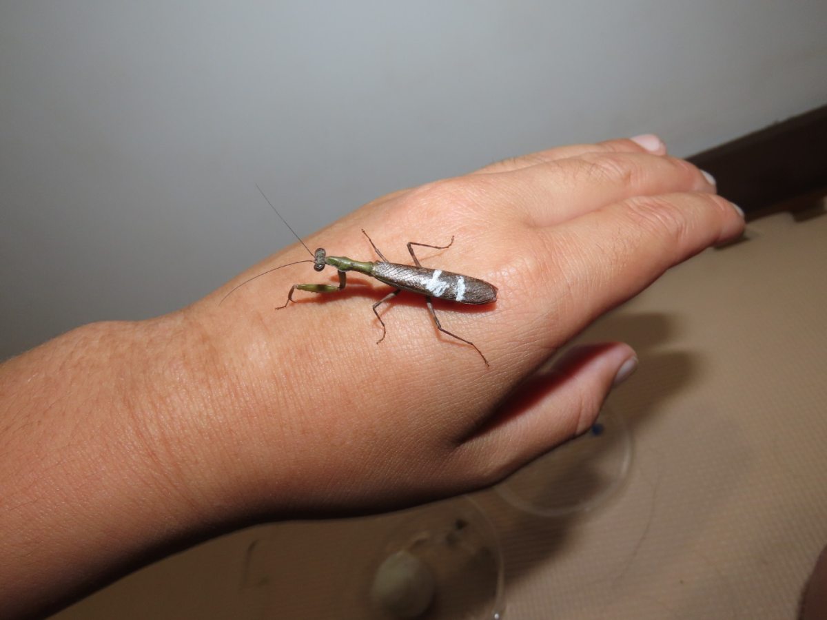 詳細検索：環境省