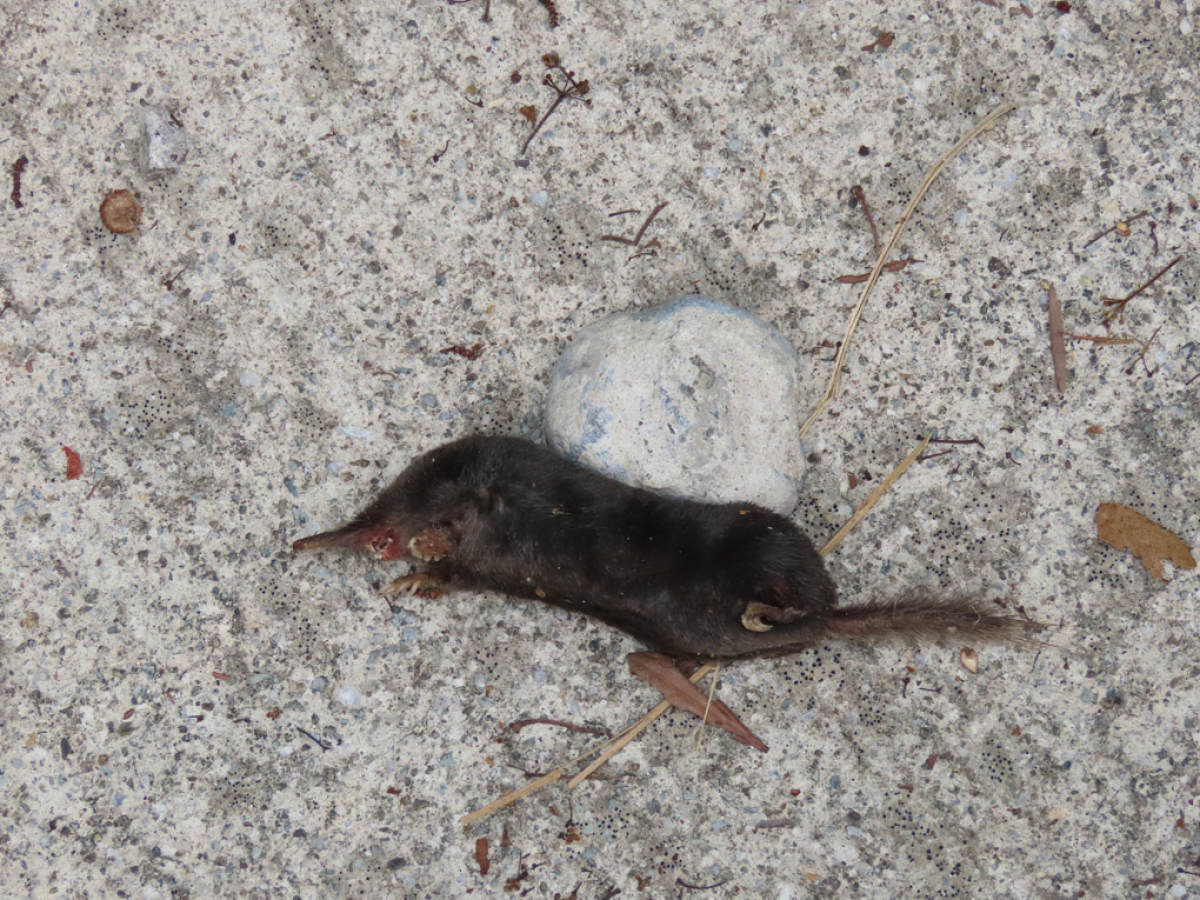 詳細検索：環境省