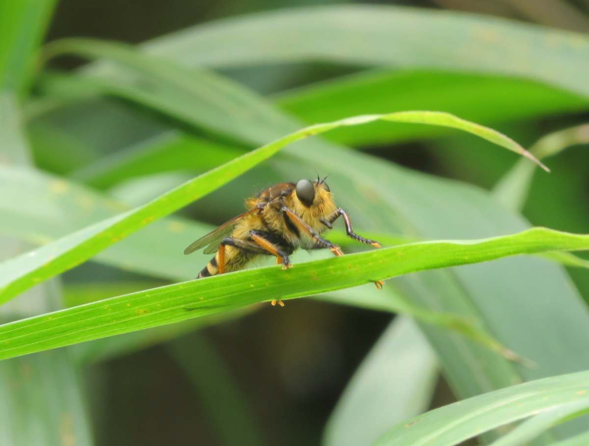 詳細検索：環境省