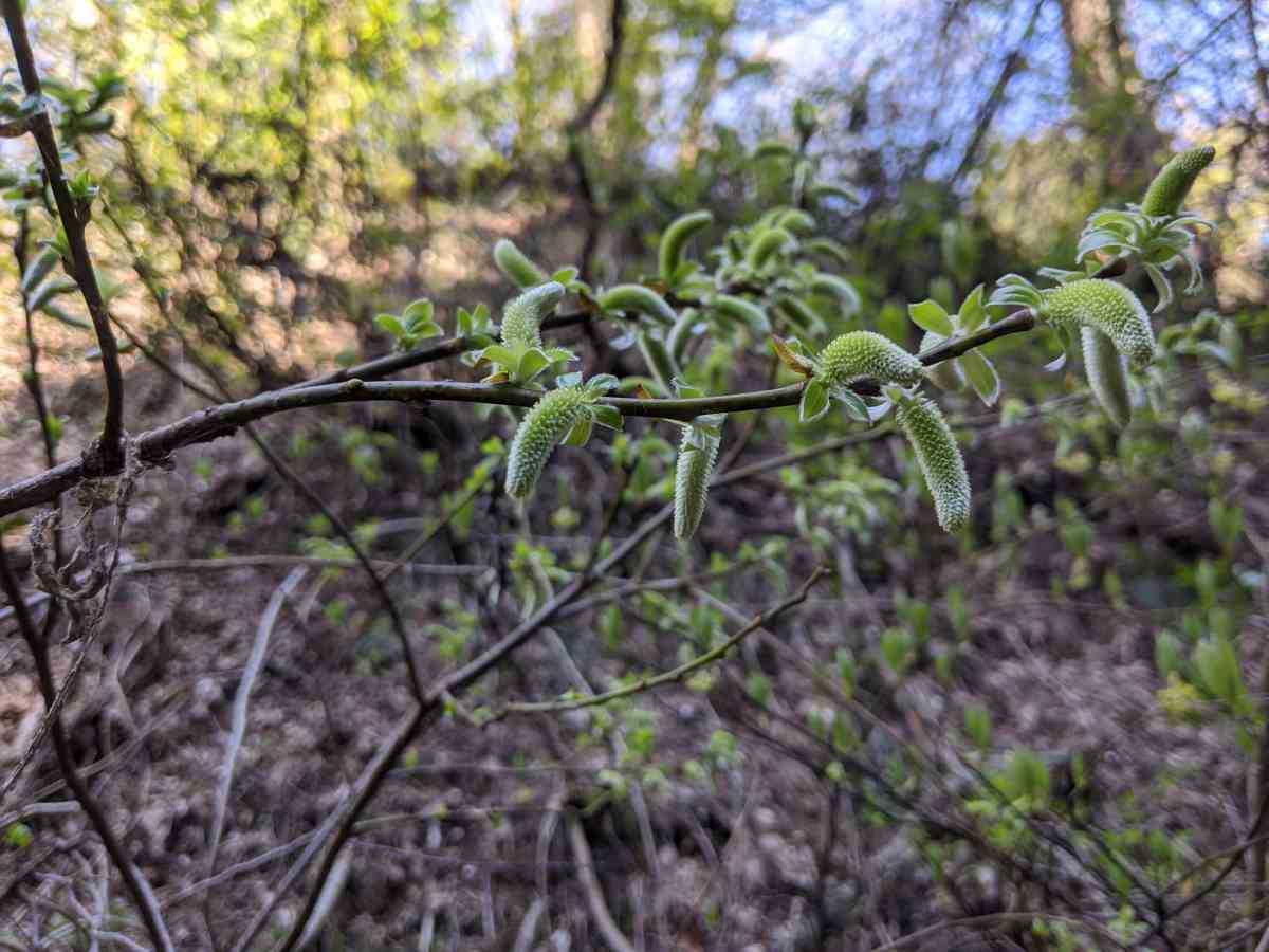 詳細検索：環境省