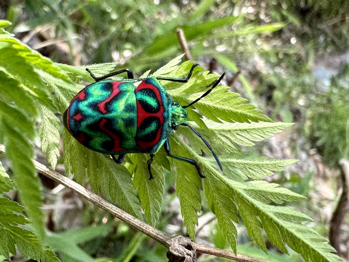 詳細検索：環境省