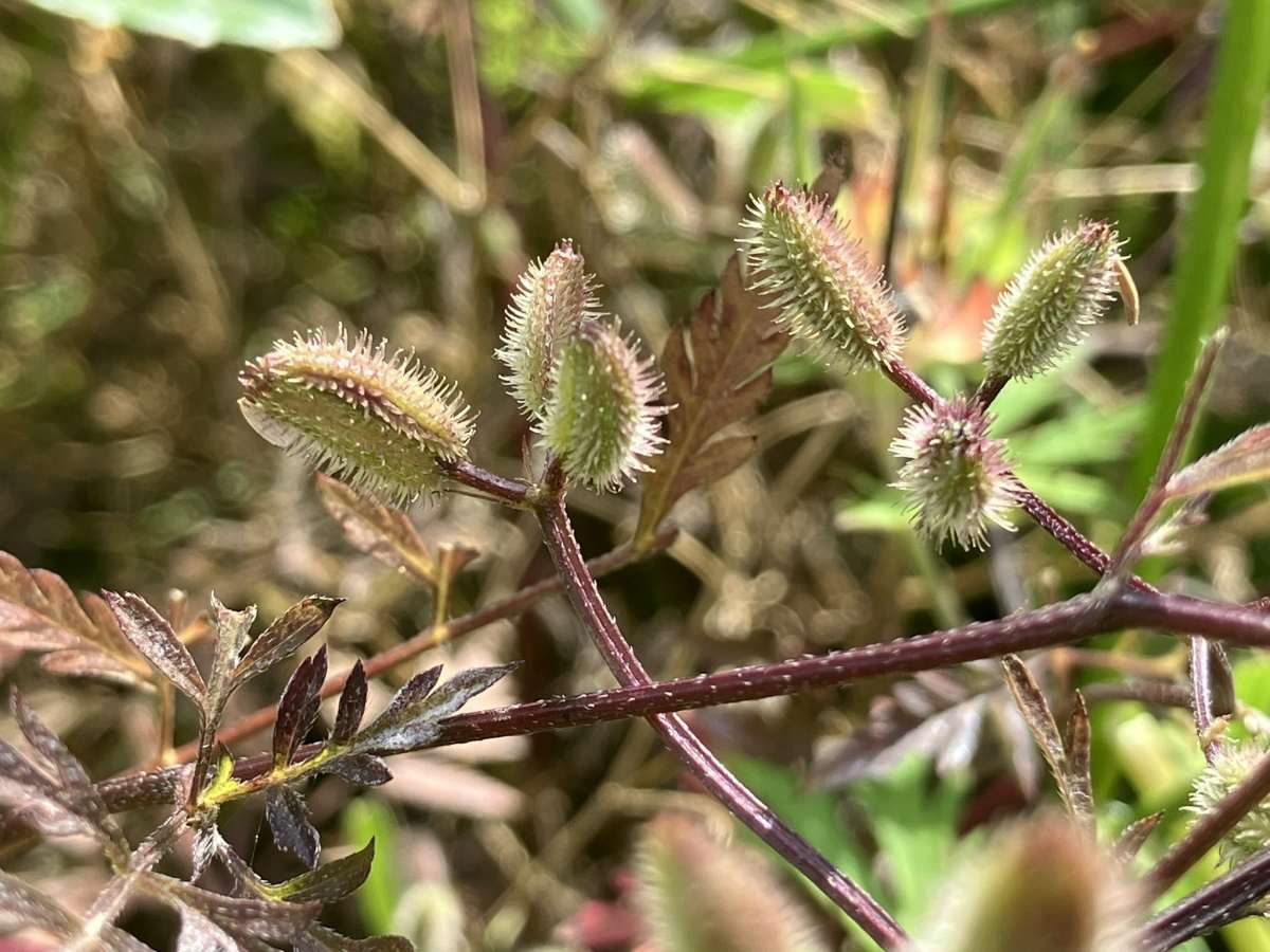 詳細検索：環境省