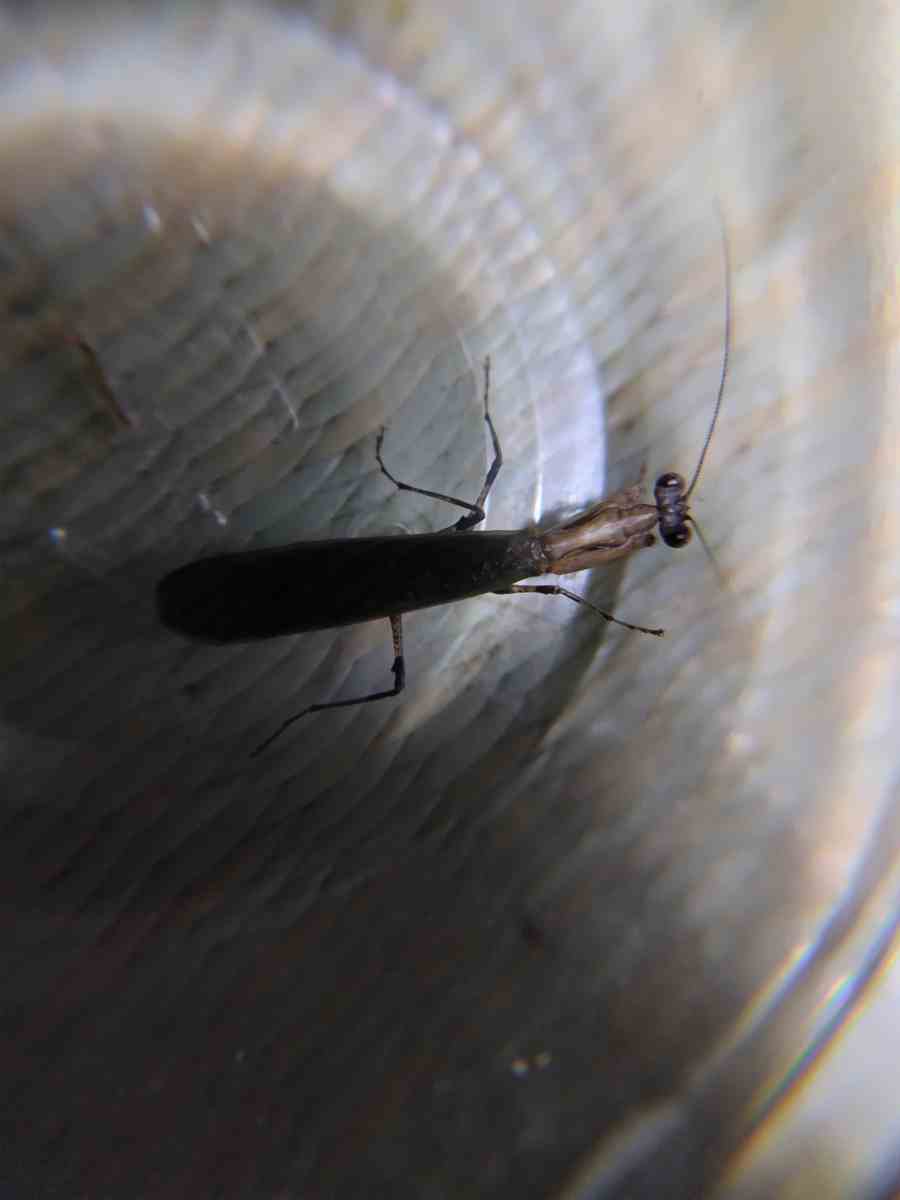 詳細検索：環境省