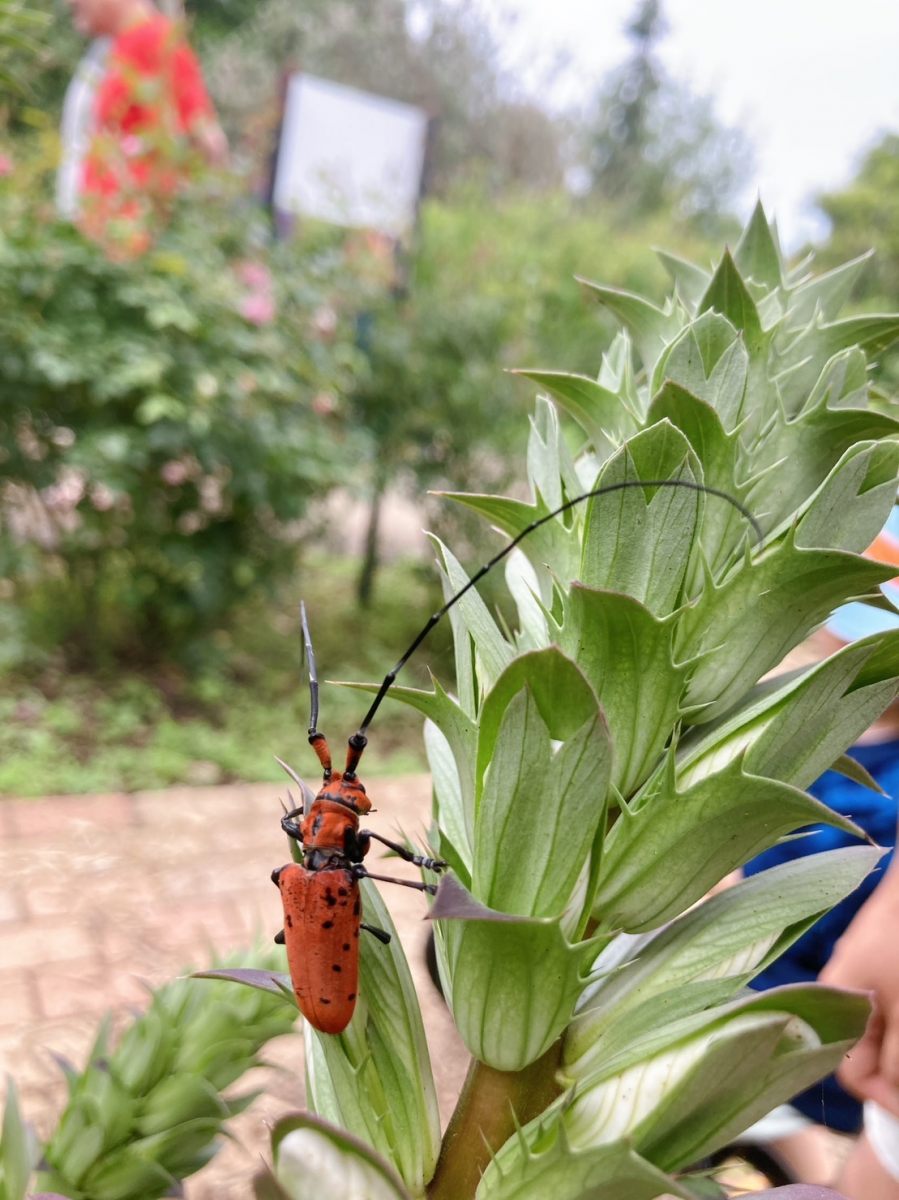 詳細検索：環境省