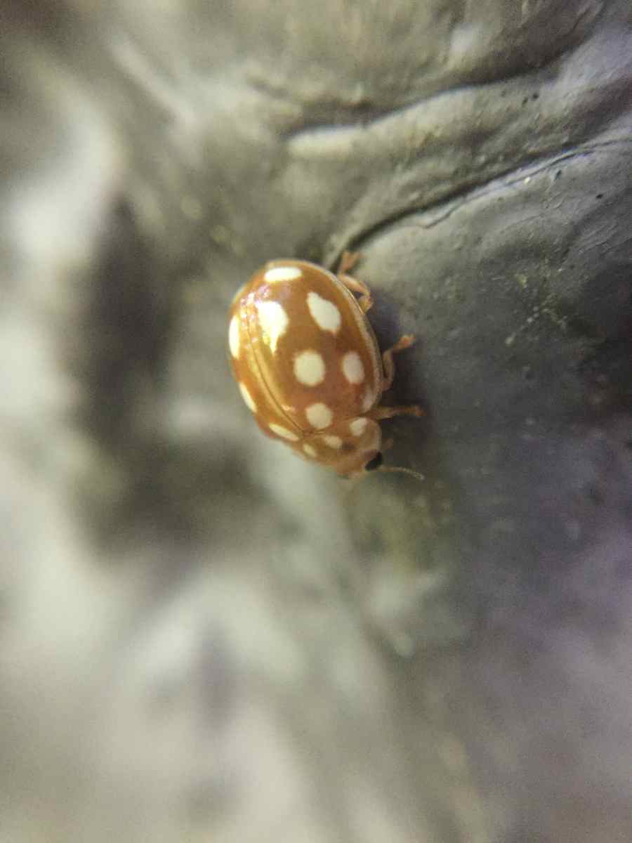 詳細検索：環境省