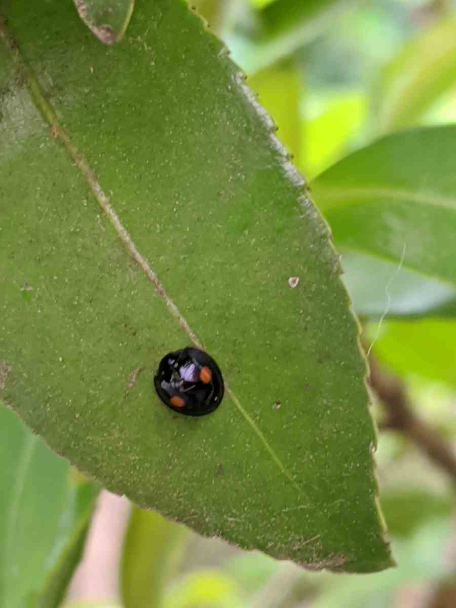 詳細検索：環境省