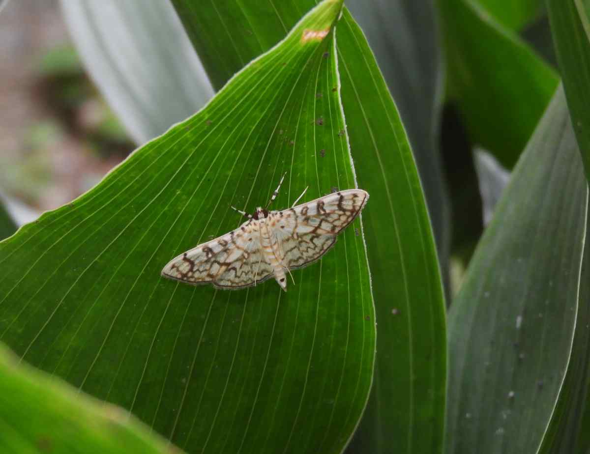 詳細検索：環境省