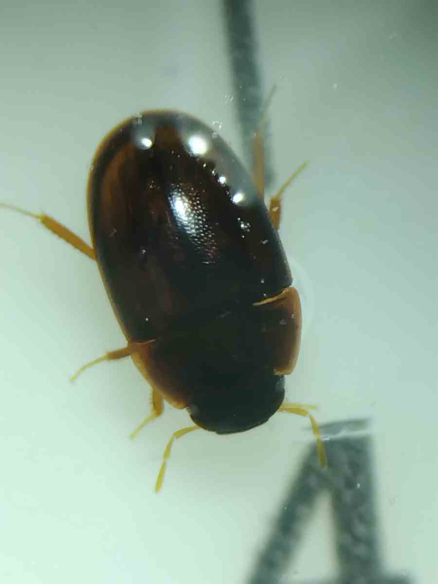 詳細検索：環境省