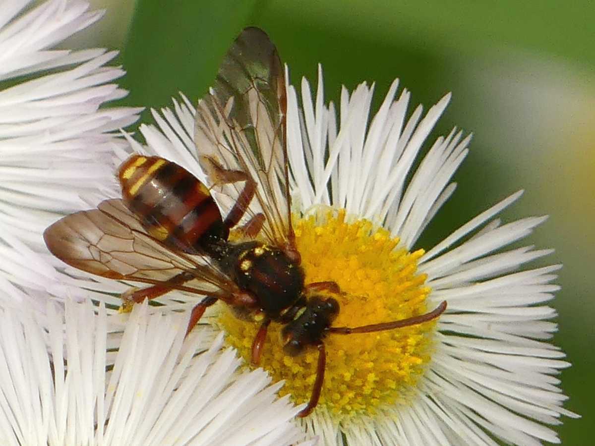 詳細検索：環境省