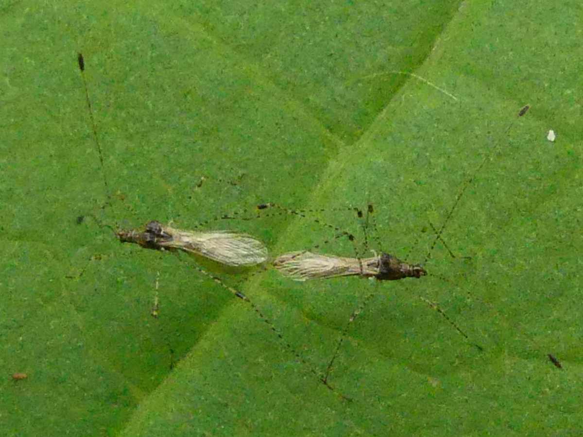 詳細検索：環境省