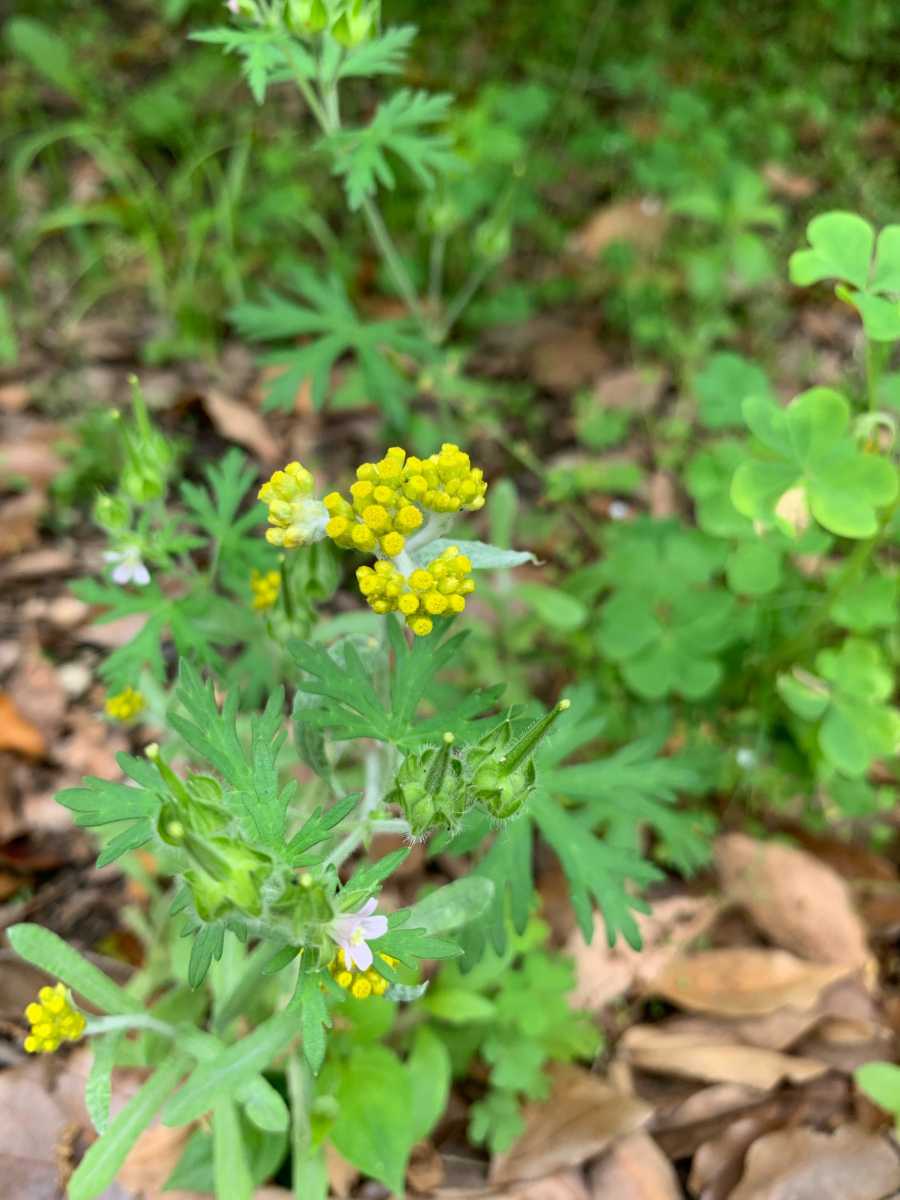 詳細検索：環境省