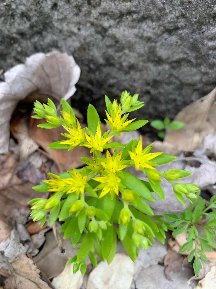 詳細検索：環境省