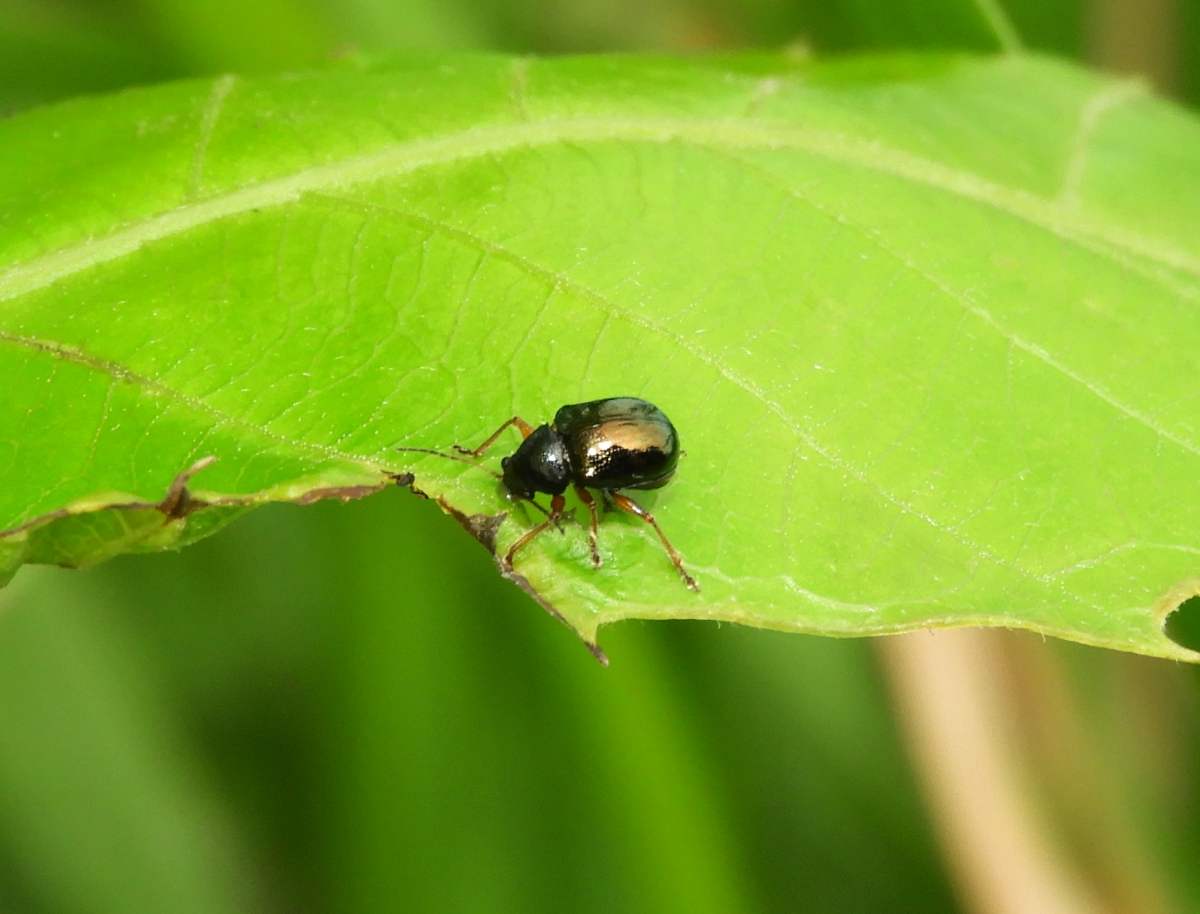 詳細検索：環境省