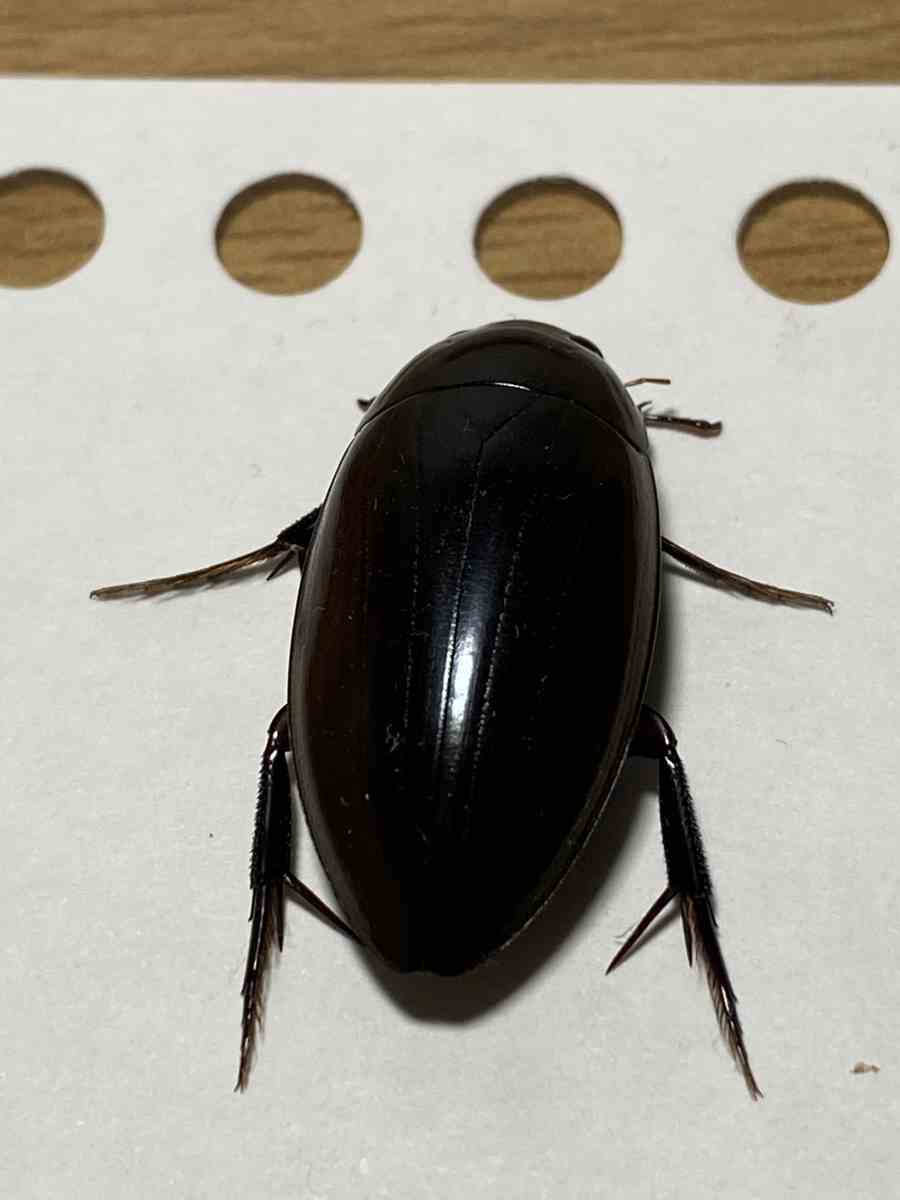 詳細検索：環境省