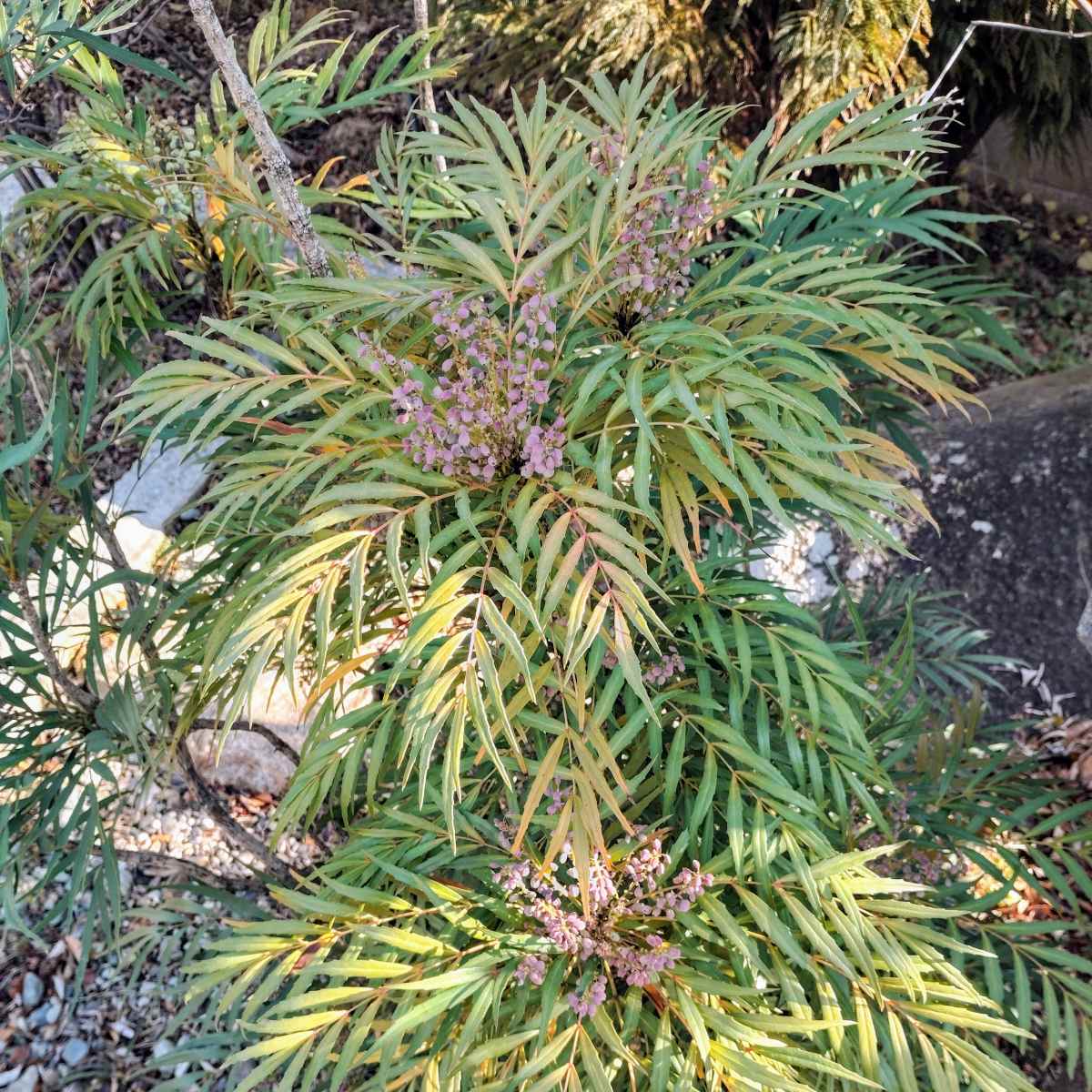 詳細検索：環境省