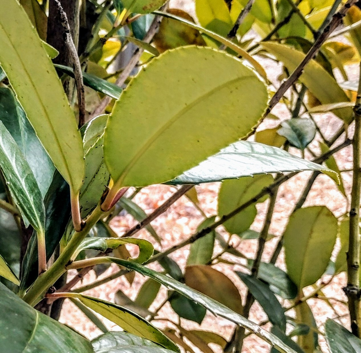 詳細検索：環境省