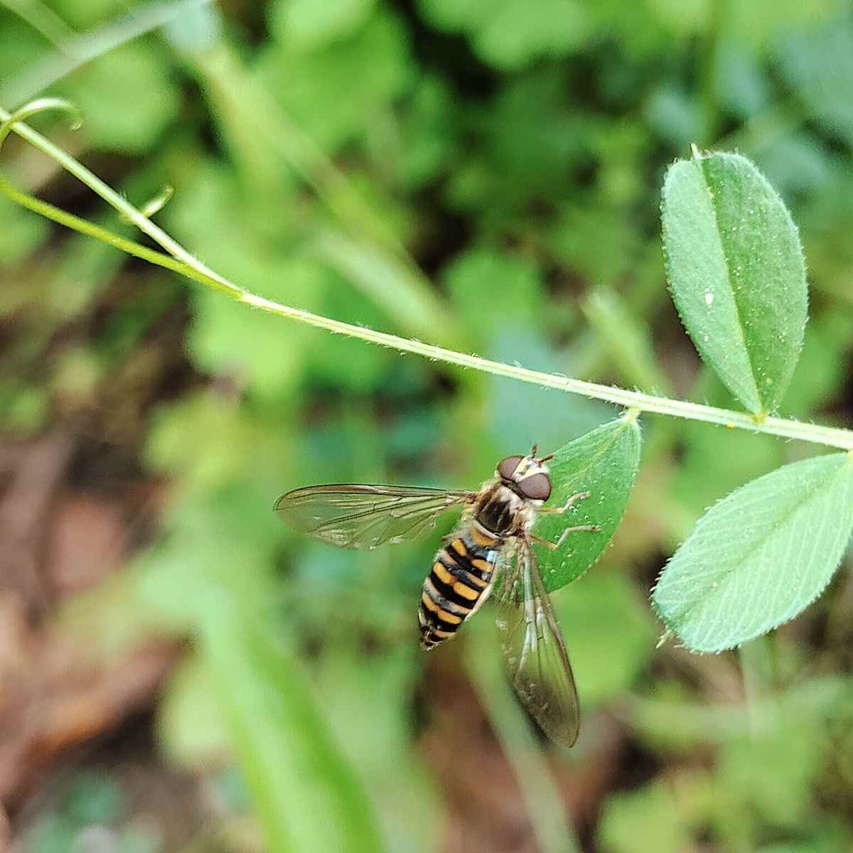 詳細検索：環境省