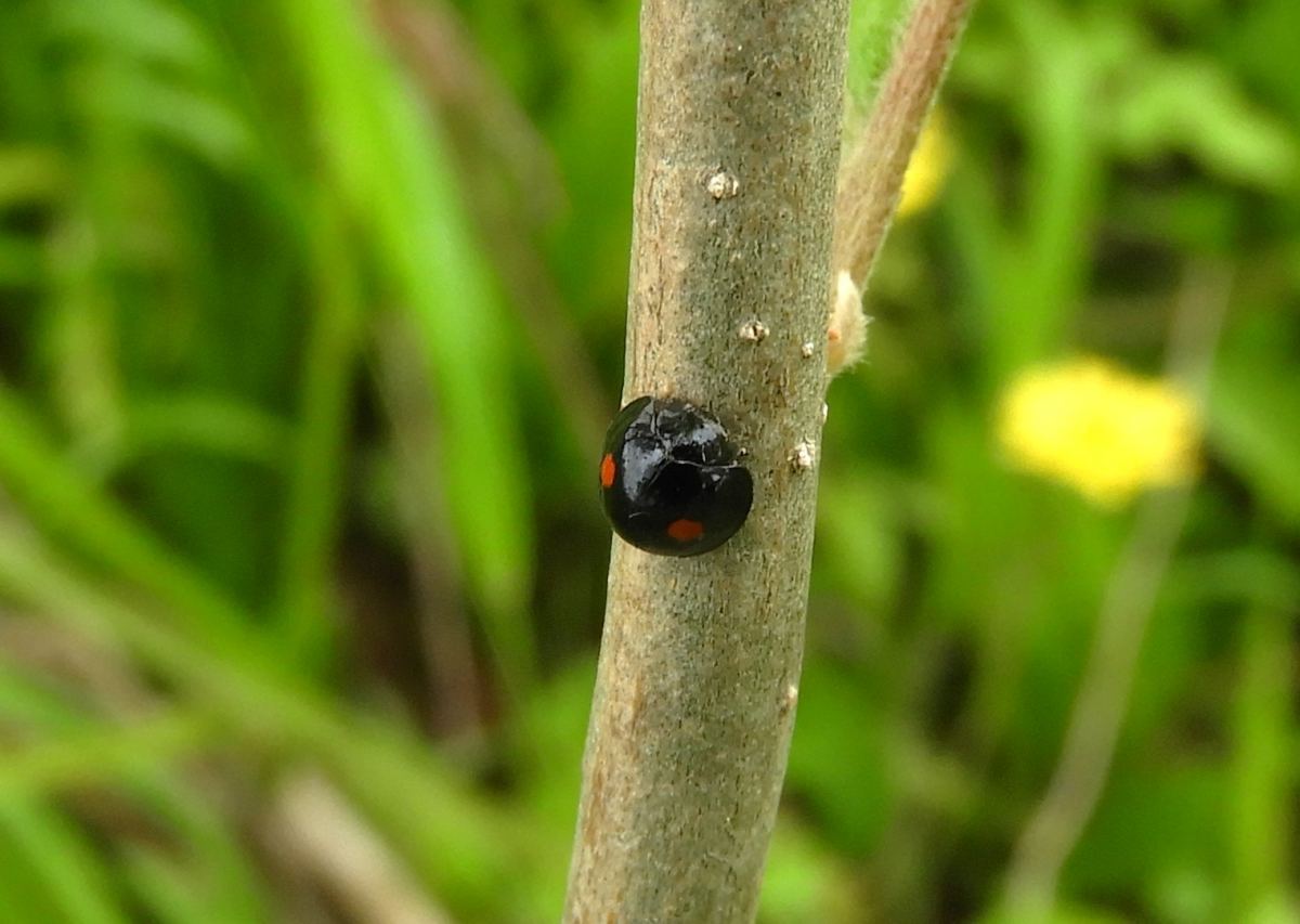 詳細検索：環境省