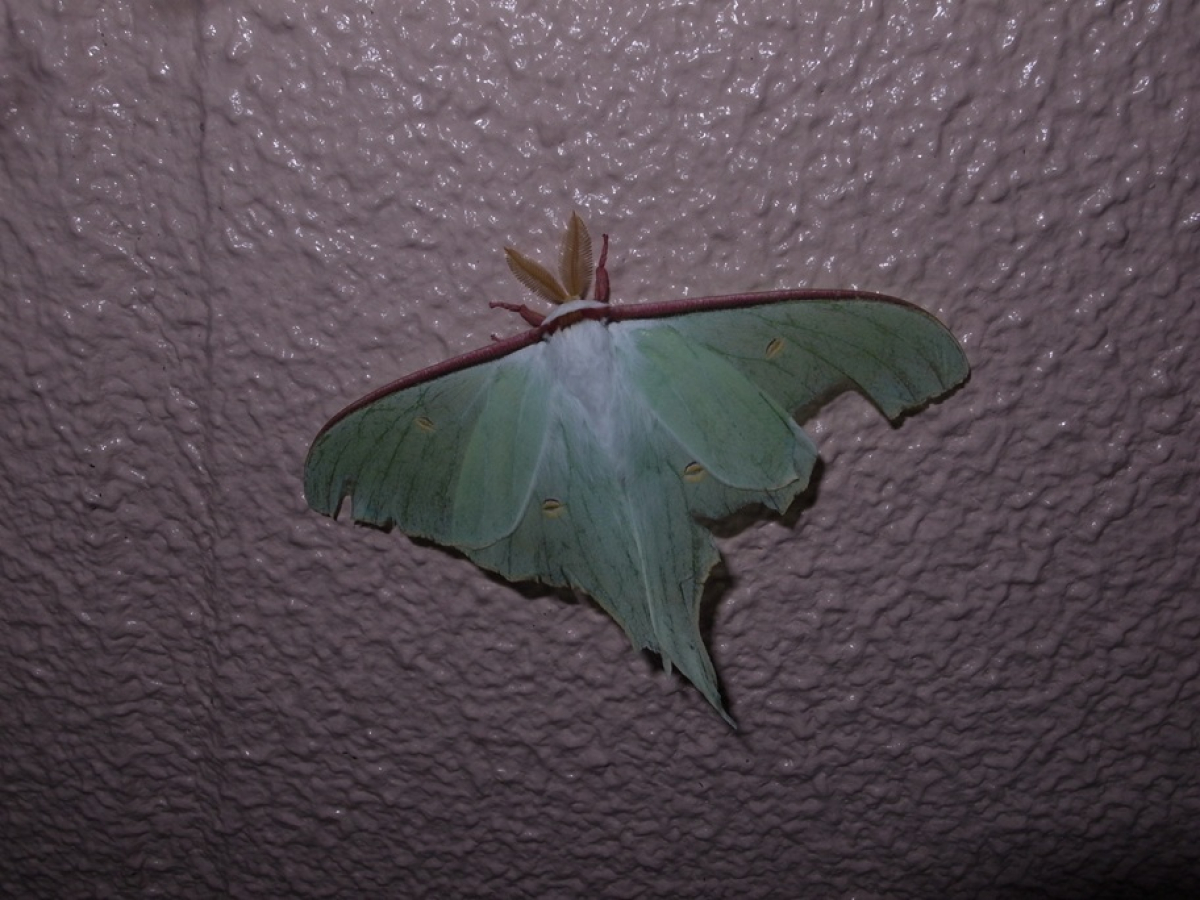 詳細検索：環境省