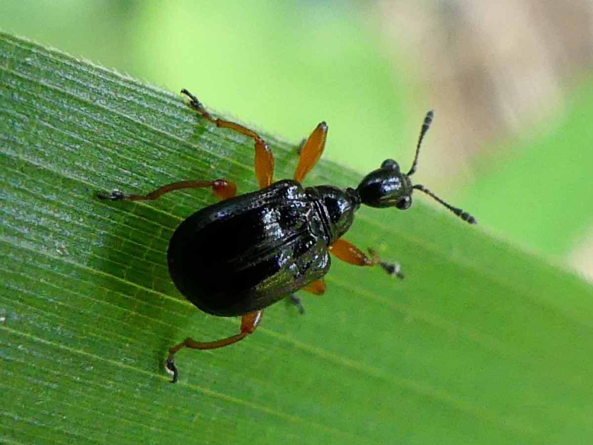 詳細検索：環境省