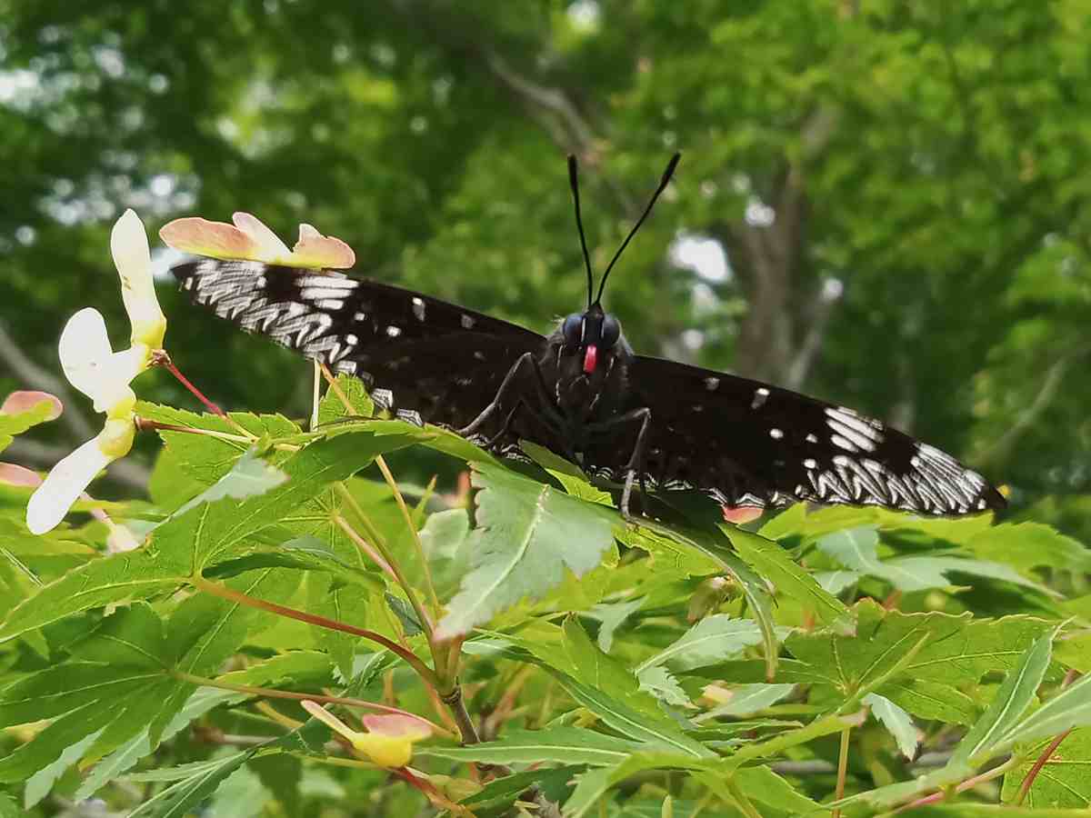 詳細検索：環境省