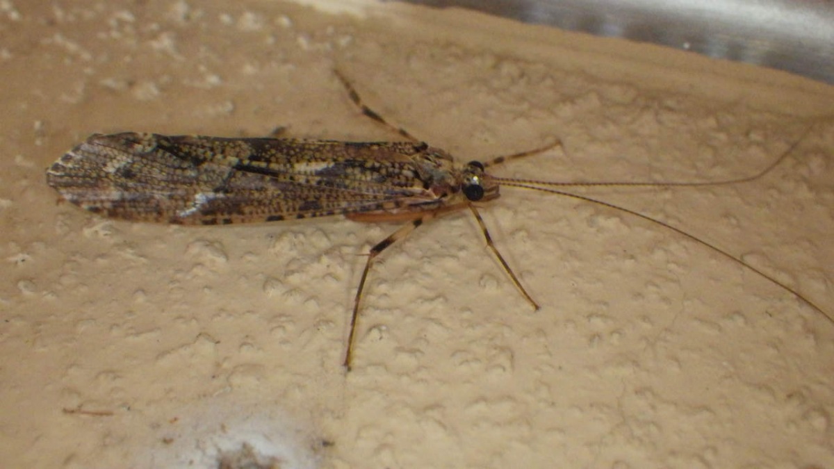 詳細検索：環境省