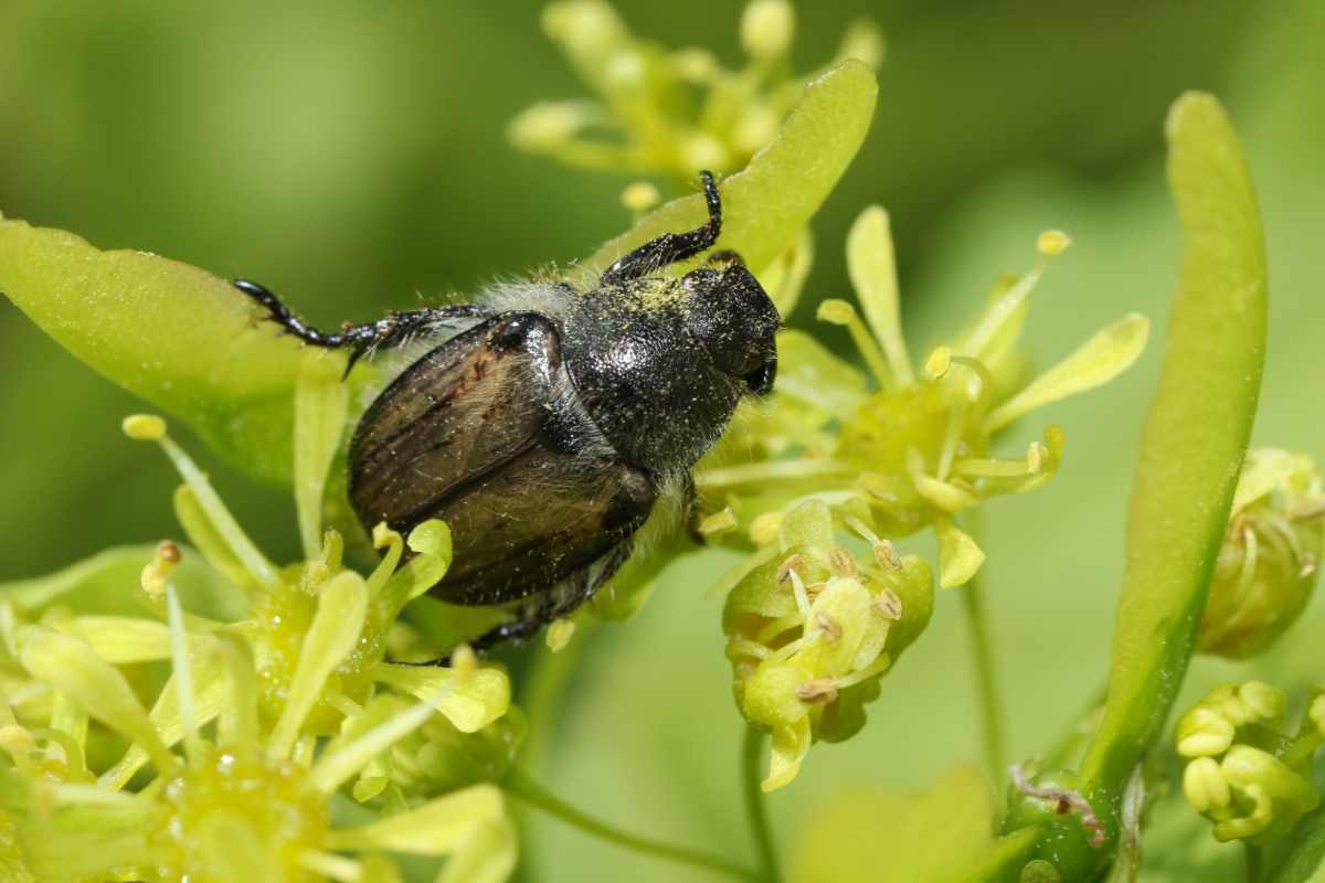 詳細検索：環境省