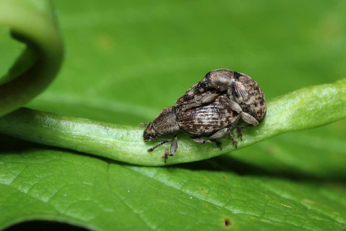 詳細検索：環境省