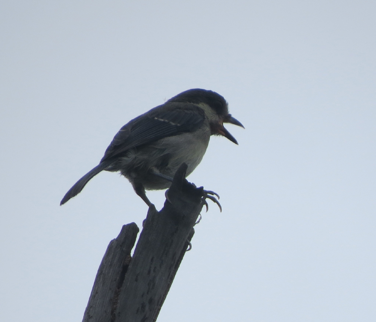 詳細検索：環境省