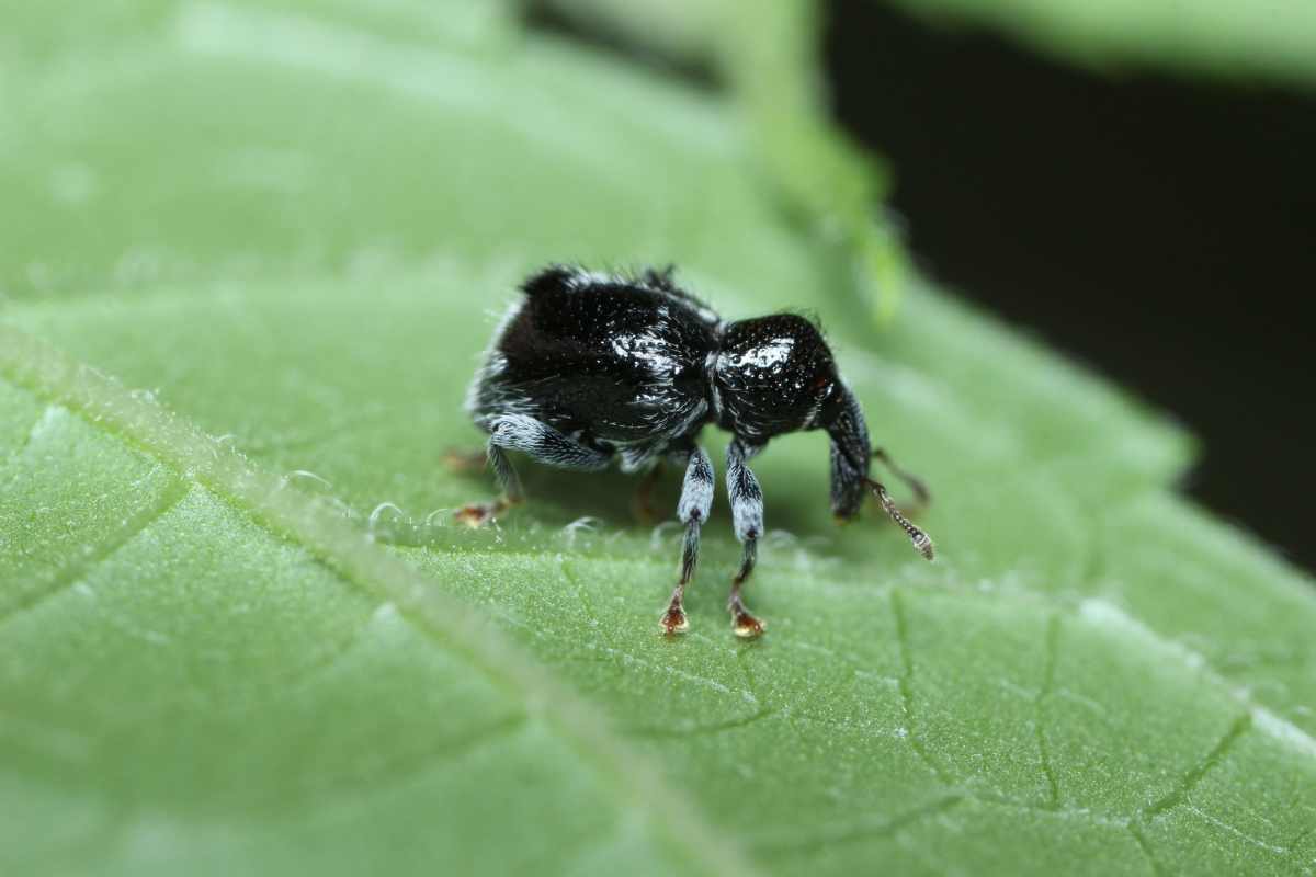 詳細検索：環境省
