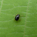 詳細検索：環境省